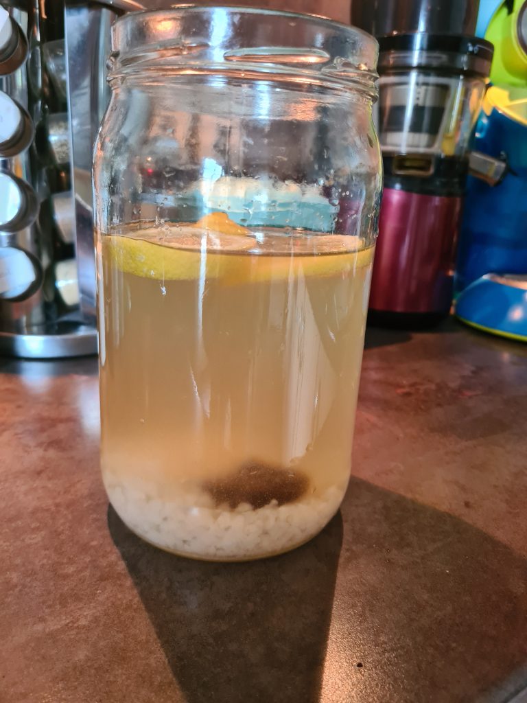 Recette de Kéfir de Fruits maison - Ninie Naturopathie